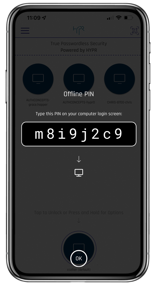 Using and Offline PIN on Windows